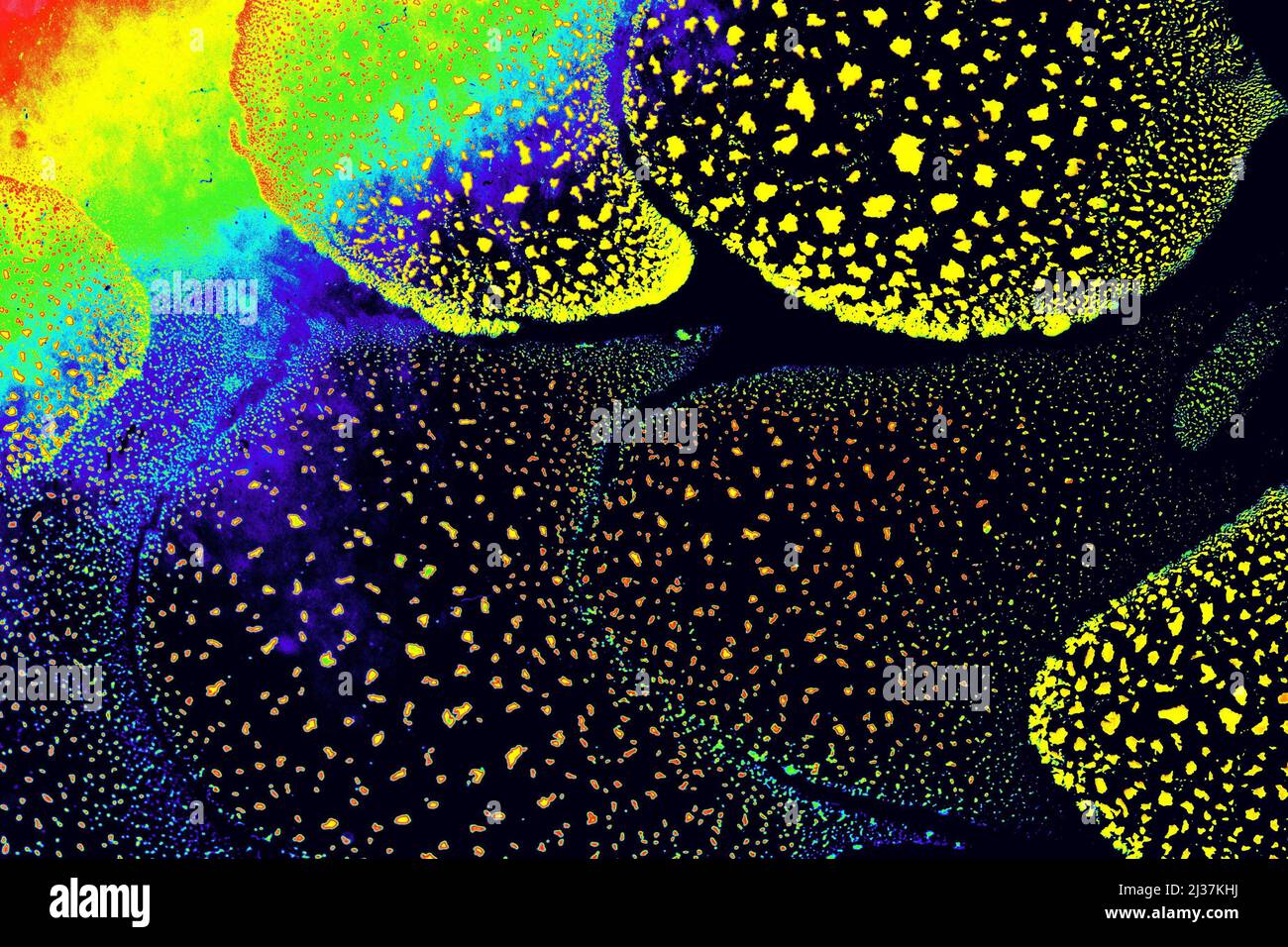 Inside the base hi-res stock photography and images - Alamy