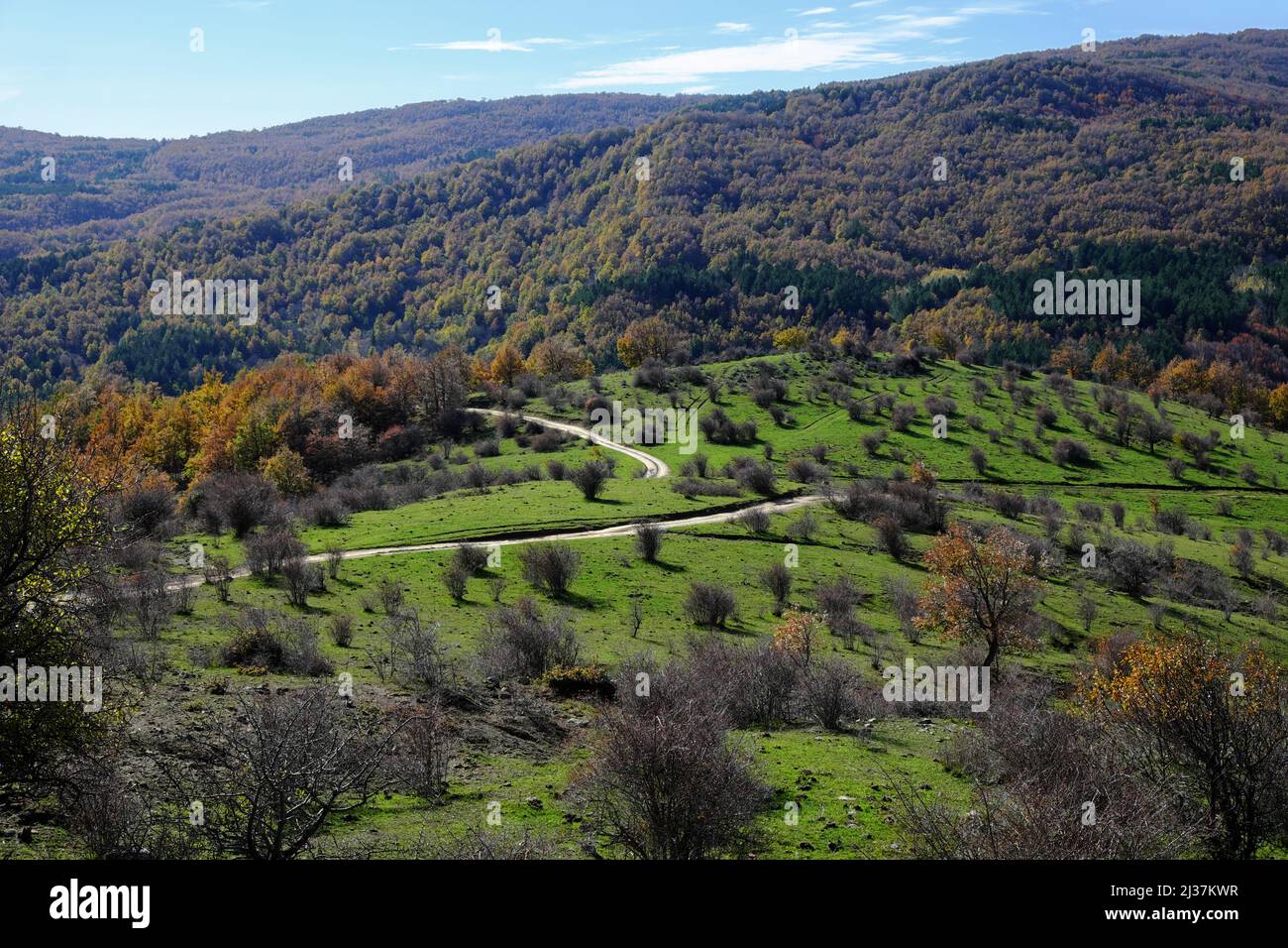 autumnal countryside landscape of forest in Nebrodi Park, Sicily Stock ...