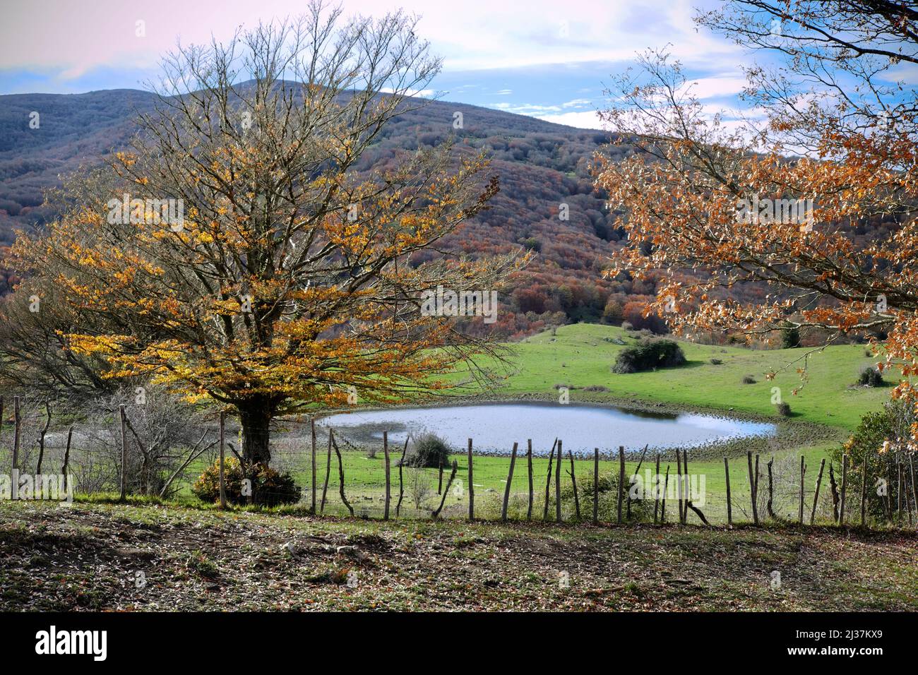 autumnal countryside landscape of a small pond in Nebrodi Park, Sicily ...