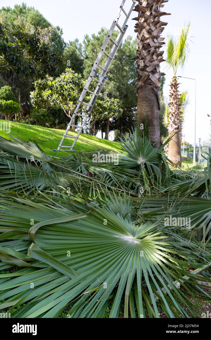 Metal stairs cutting hi-res stock photography and images - Alamy