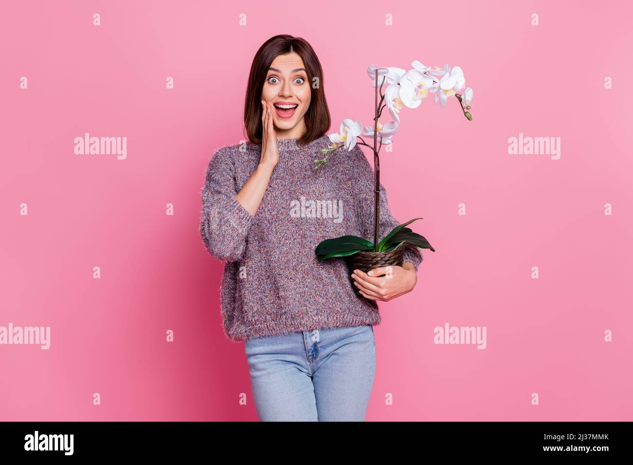 Photo Of Pretty Impressed Woman Wear Pullover Holding Flower Arm Cheek
