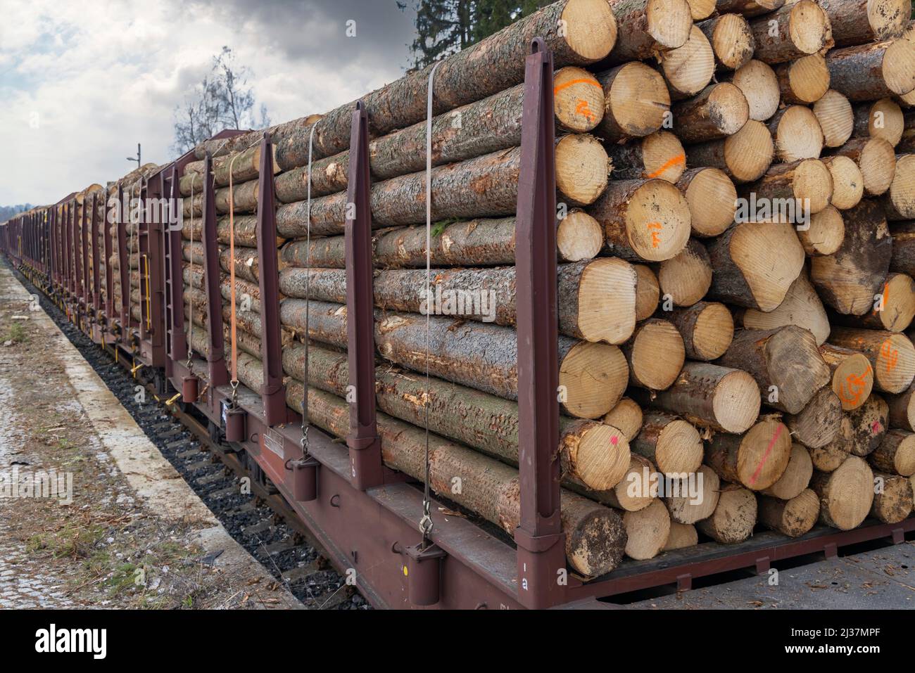 Timber logistics hi-res stock photography and images - Alamy