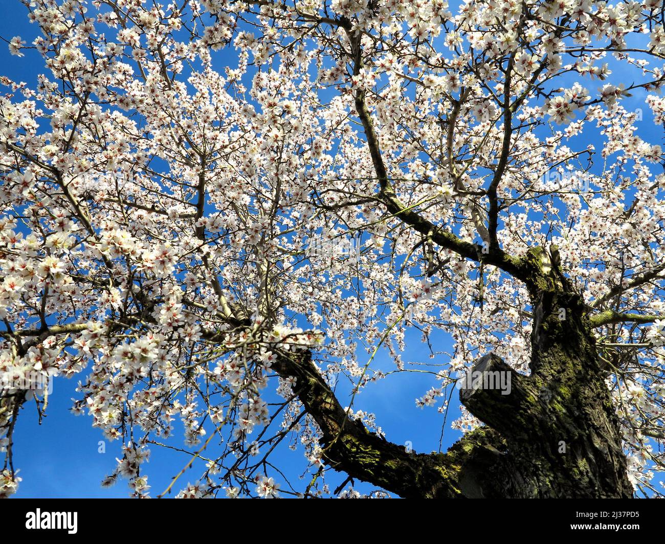 Cielo azul en hi-res stock photography and images - Alamy