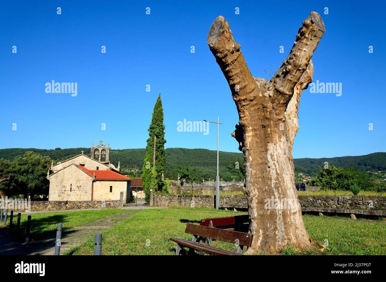 Tebra hi-res stock photography and images - Alamy