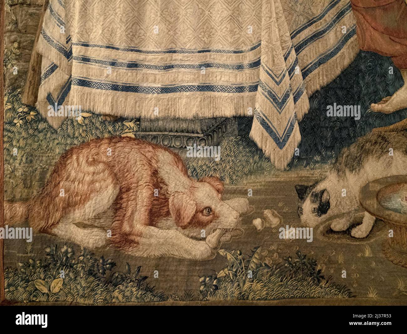 dog and cat old tapestry detail close up Stock Photo - Alamy