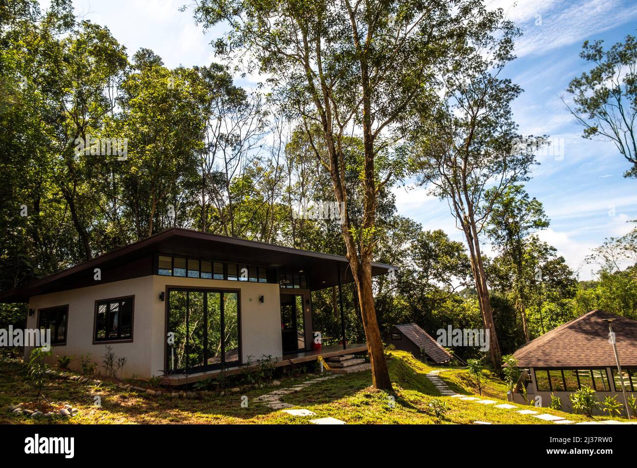 Matang borneo hi-res stock photography and images - Alamy