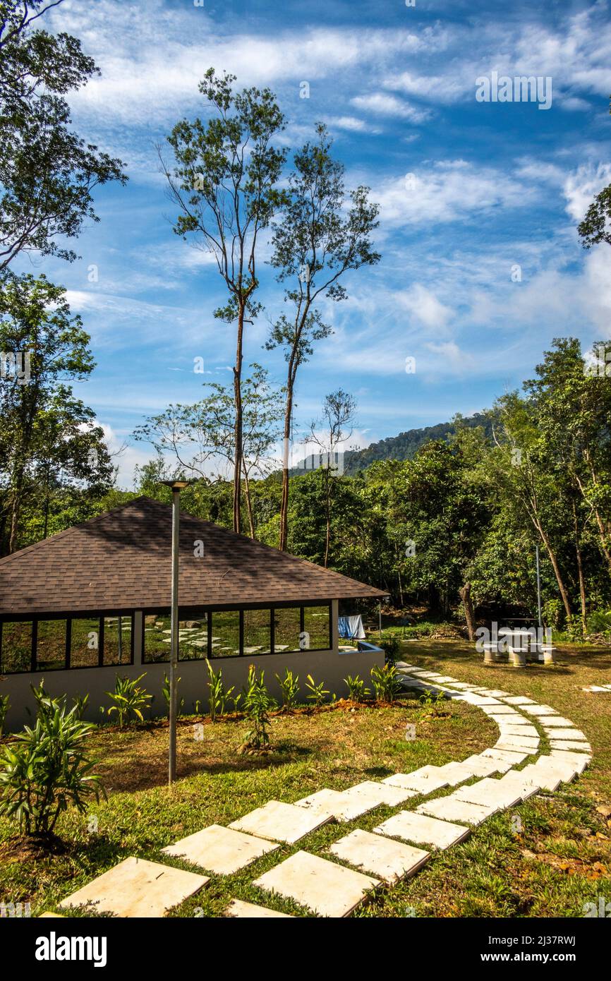 Matang borneo hi-res stock photography and images - Alamy