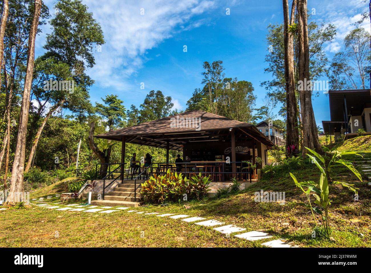 Matang borneo hi-res stock photography and images - Alamy