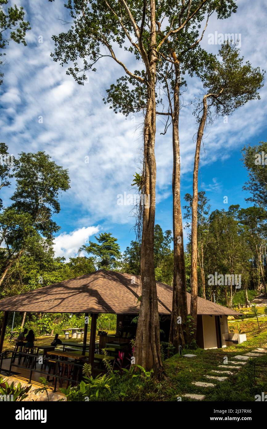 Retreat to nature hi-res stock photography and images - Alamy