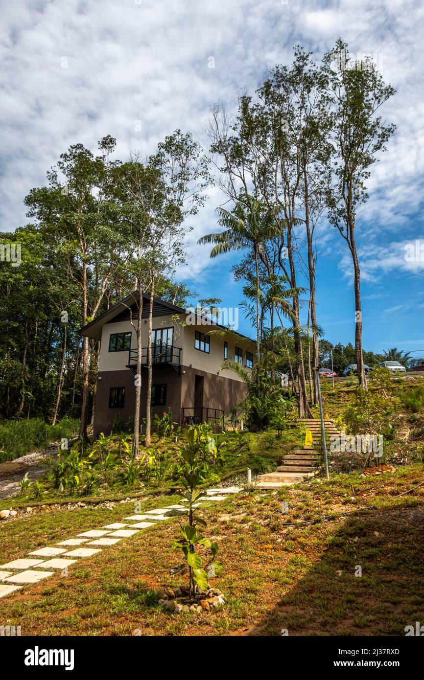 Matang borneo hi-res stock photography and images - Alamy