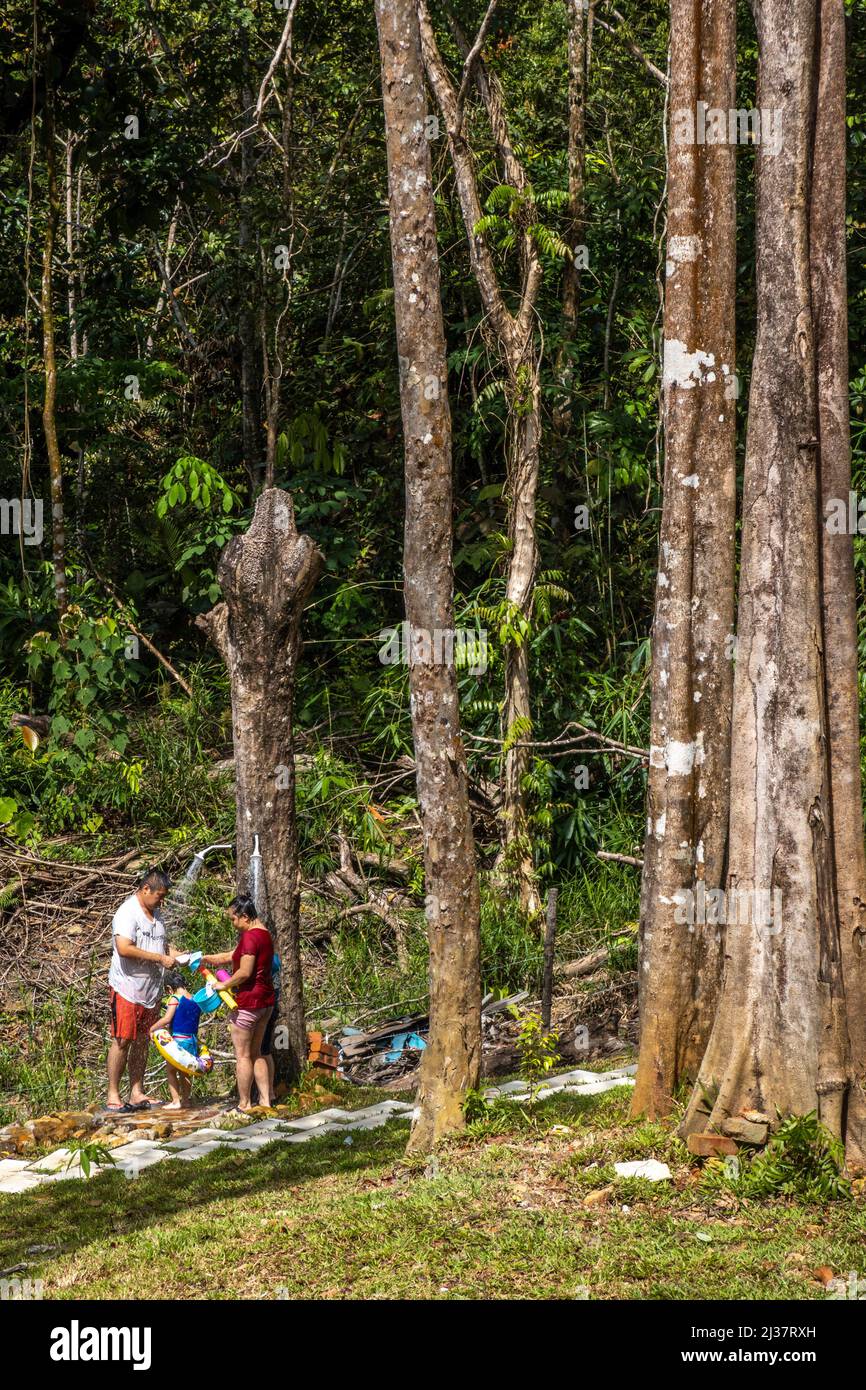 Matang borneo hi-res stock photography and images - Alamy