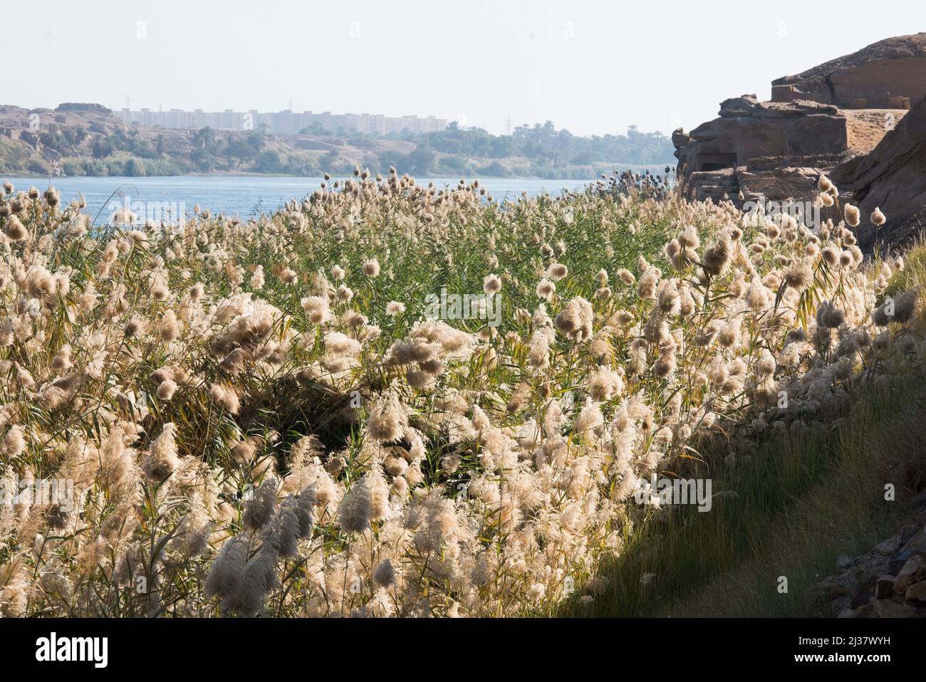 Quarries ancient egypt hi-res stock photography and images - Alamy