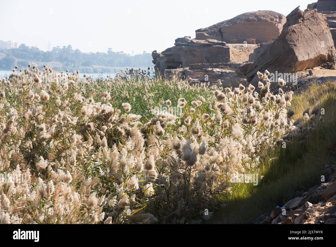 Archaeology quarry hi-res stock photography and images - Alamy