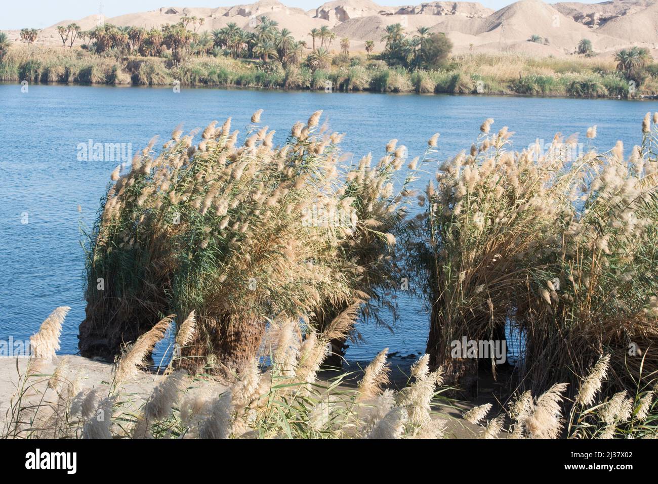 Quarries ancient egypt hi-res stock photography and images - Alamy