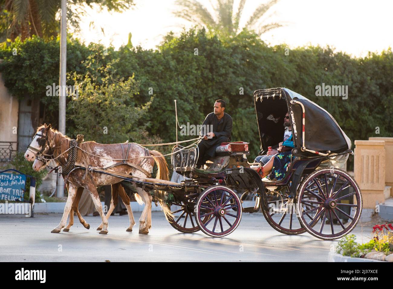 Egypt luxor horse drawn carriage hi-res stock photography and images ...