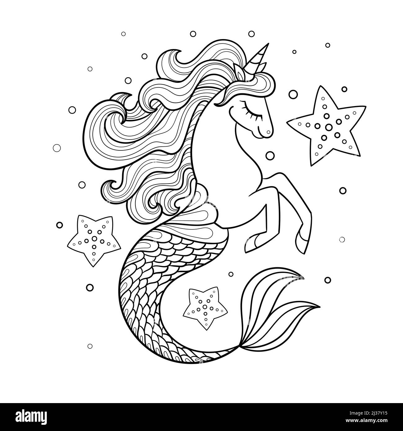 Seahorse unicorn with starfish. Black and white linear drawing. Vector ...
