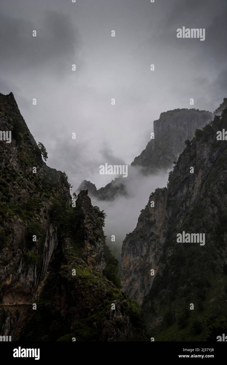 Gorges in limestone terrain hi-res stock photography and images - Alamy