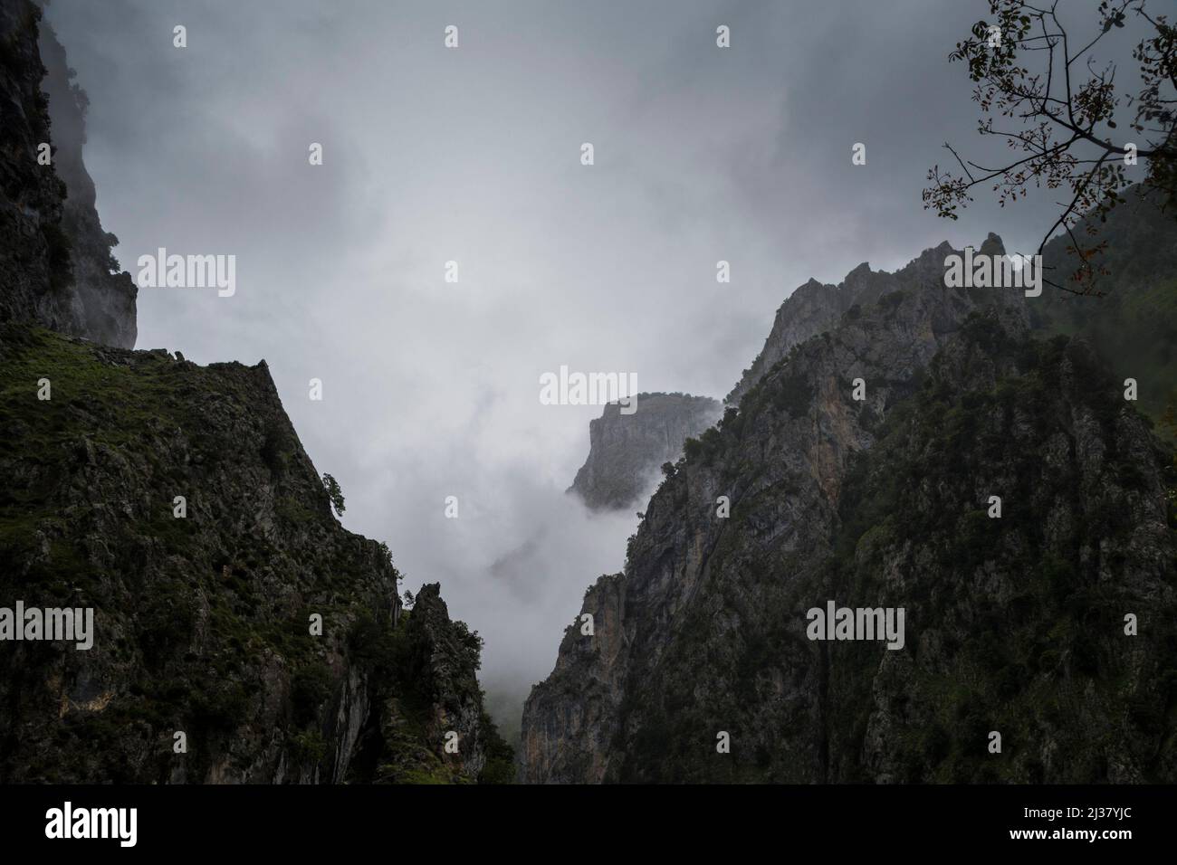 Sharp cliffs of limestone and deep gorges under the clouds in a grey ...