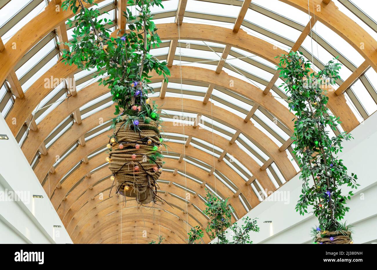 Tree wrapped in jute rope and a garland against a glass roof with ...