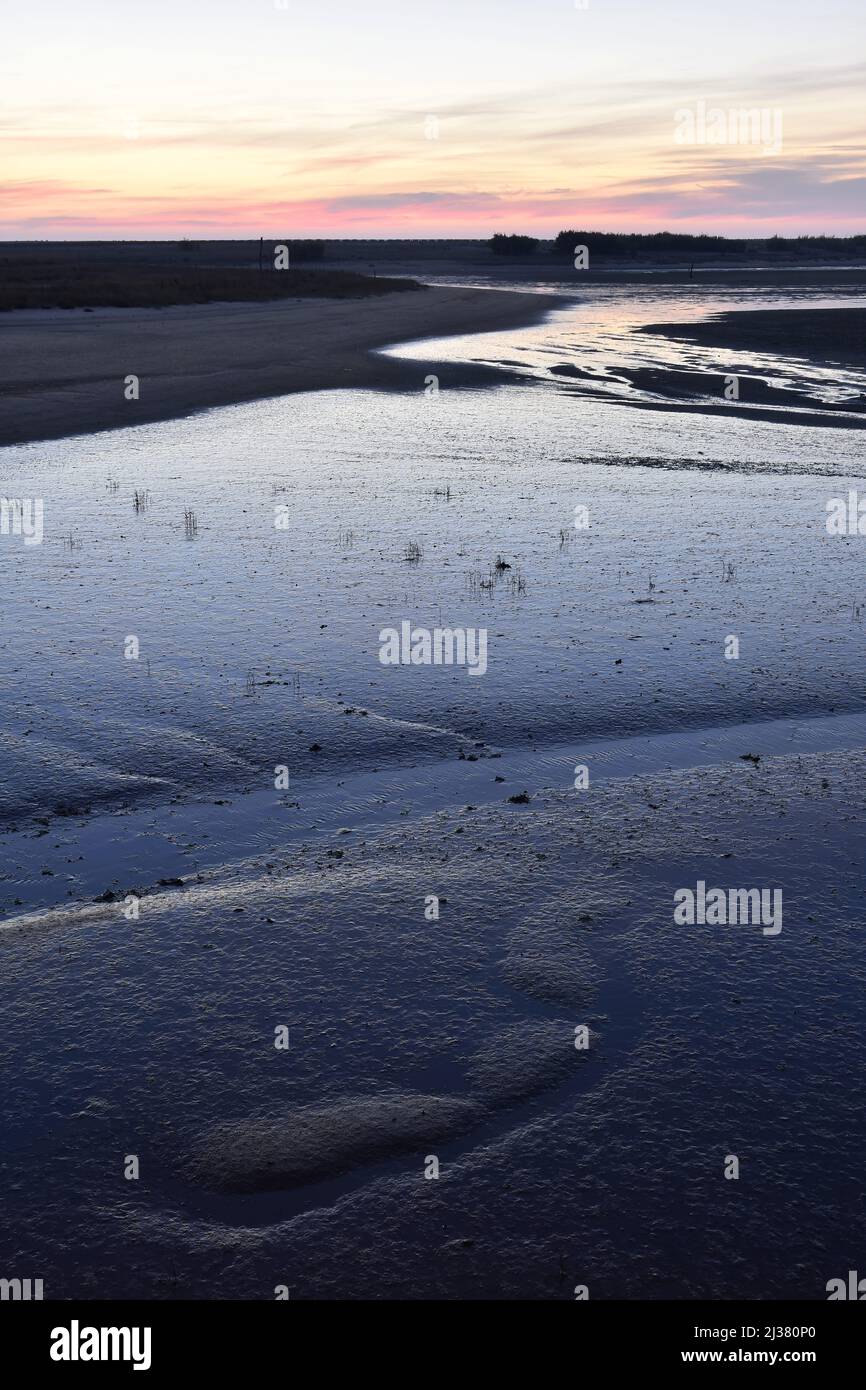 Reserva natural local estuario do douro hi-res stock photography and ...
