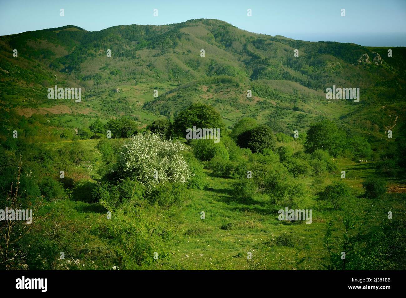 vintage spring landscape of countryside in Nebrodi Park, Sicily Stock ...