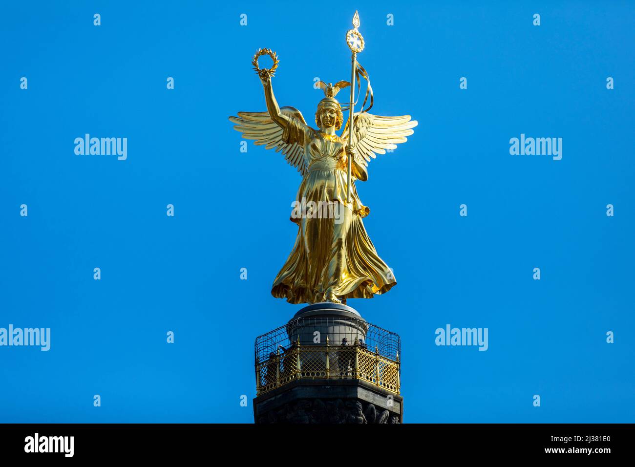 Golden lizzy hi-res stock photography and images - Alamy
