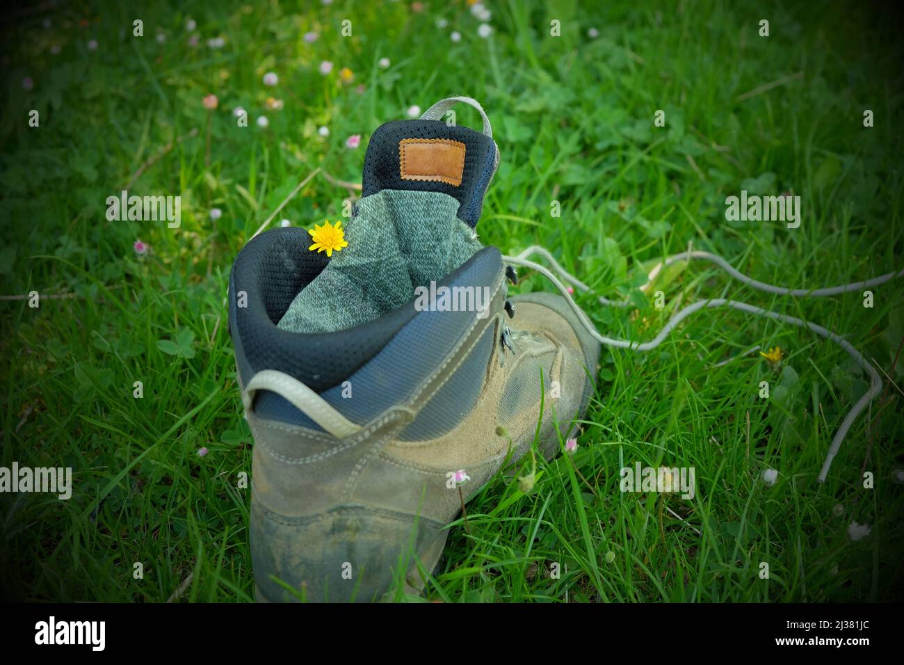 one boot with wildflower (filtered images Stock Photo - Alamy