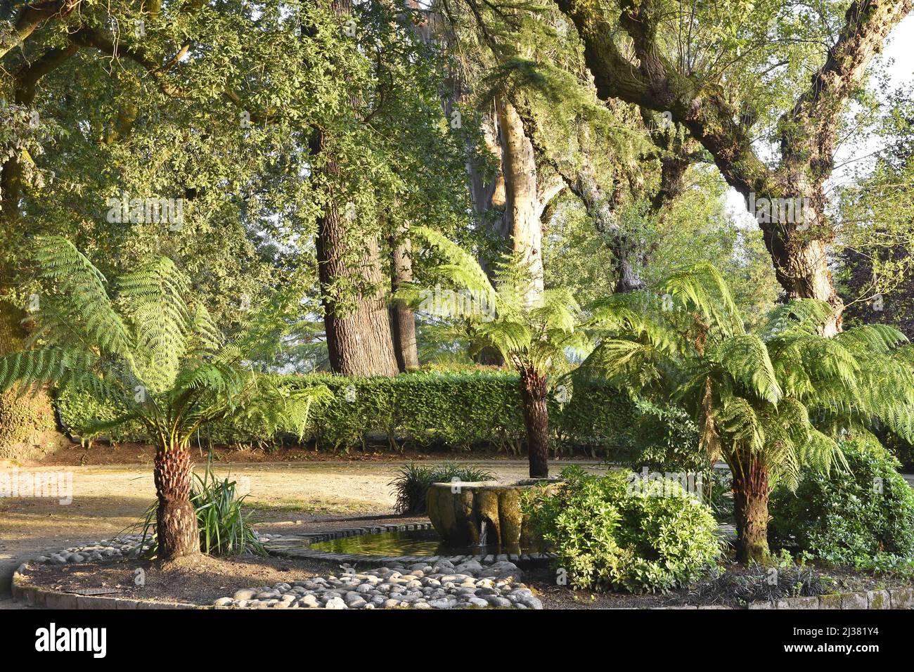 Lush vegetation and water fountain in Alameda Park, located in Santiago ...