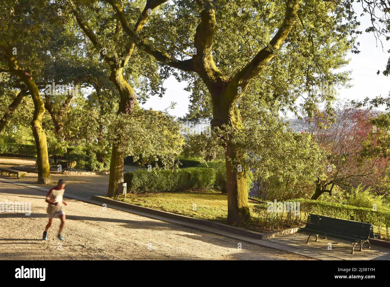 Parque de alameda galicia hi-res stock photography and images - Alamy