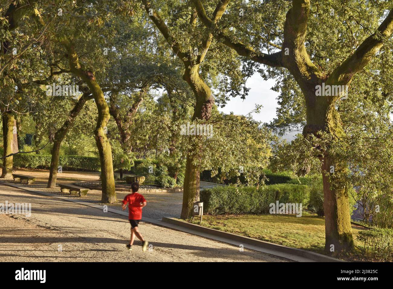 Parque de alameda galicia hi-res stock photography and images - Alamy