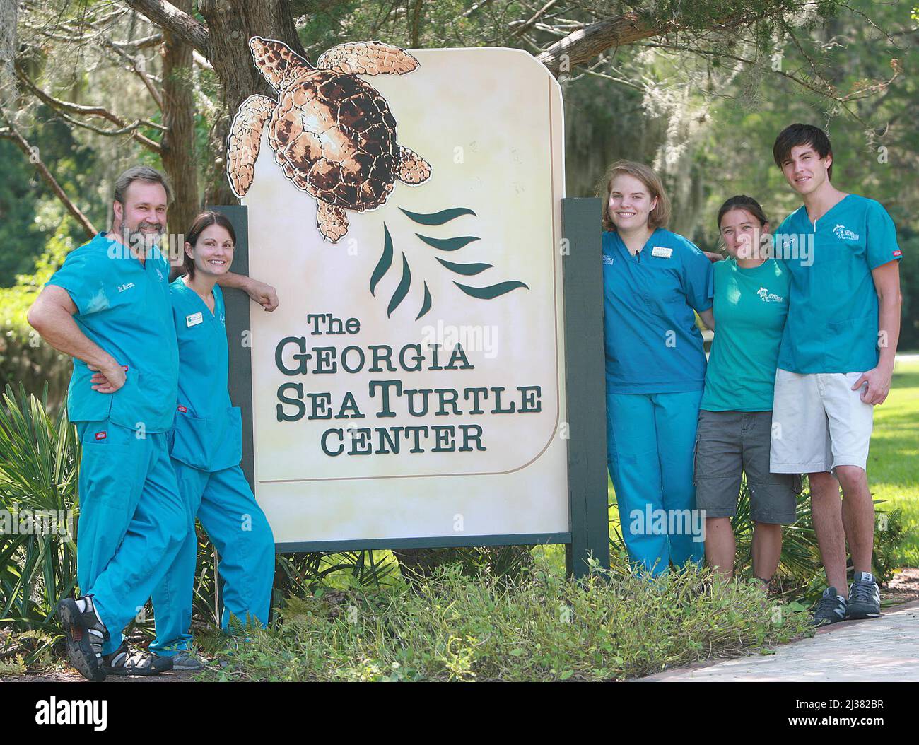 STAFF AT THE WORLD'S ONLY TURTLE HOSPITAL. THE WORLDS ONLY TURTLE ...