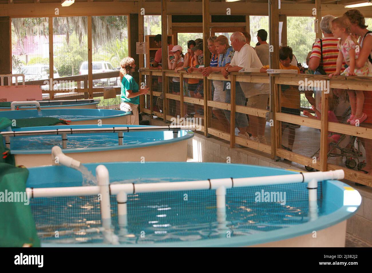 REHABILITATION TANKS AT THE WORLDS ONLY TURTLE HOSPITAL. THE WORLDS ...