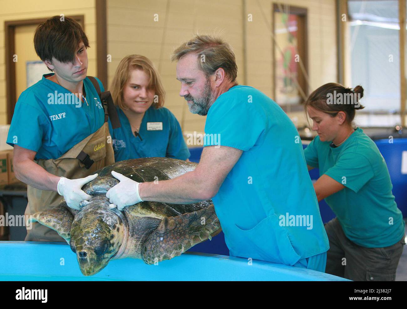 Turtle rehabilitation centre hi-res stock photography and images - Alamy