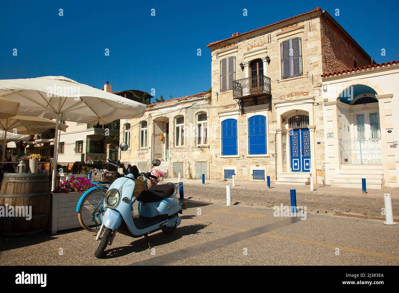 Foca foca hi-res stock photography and images - Alamy