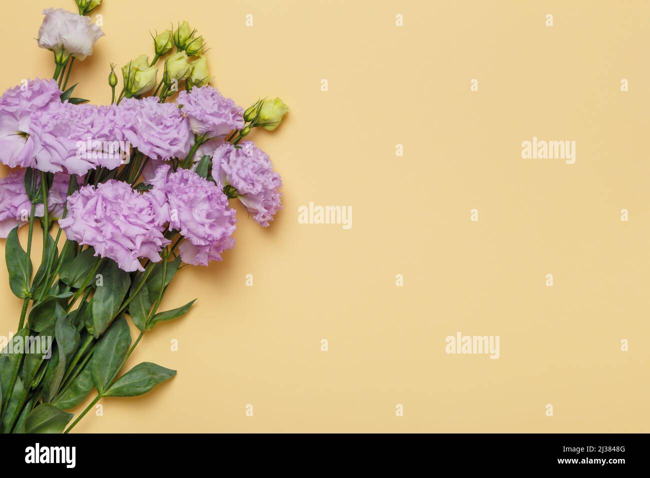 Bouquet of purple flowers on a yellow background with copy space ...