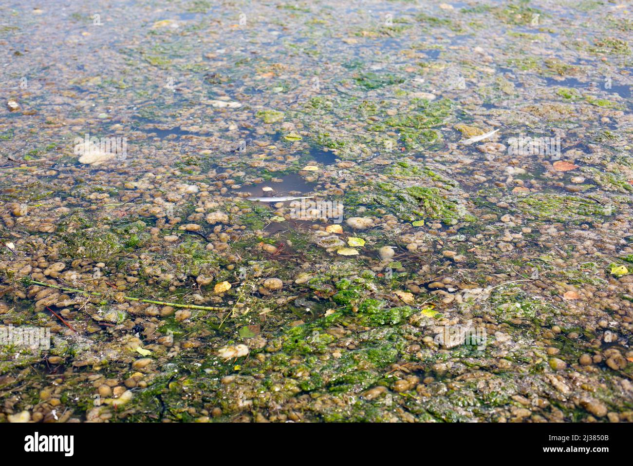 Littered river hi-res stock photography and images - Alamy