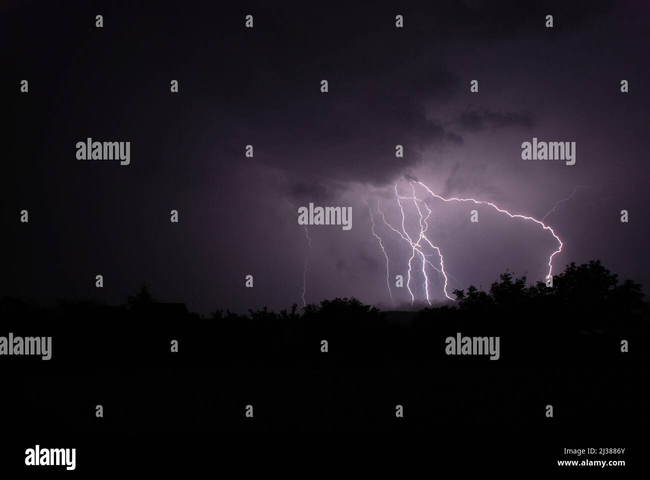 A gloomy night outdoors with the bright lightning striking the woods ...