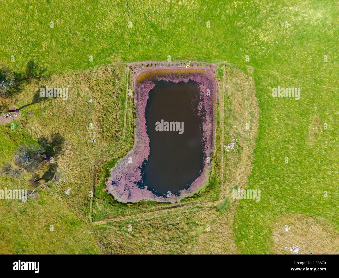 An aerial view of a water pond in a rural area at Wellington Vale ...