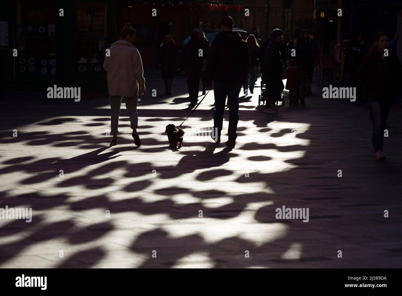 The shadows of red lanterns fall on a road as people and a dog stroll ...