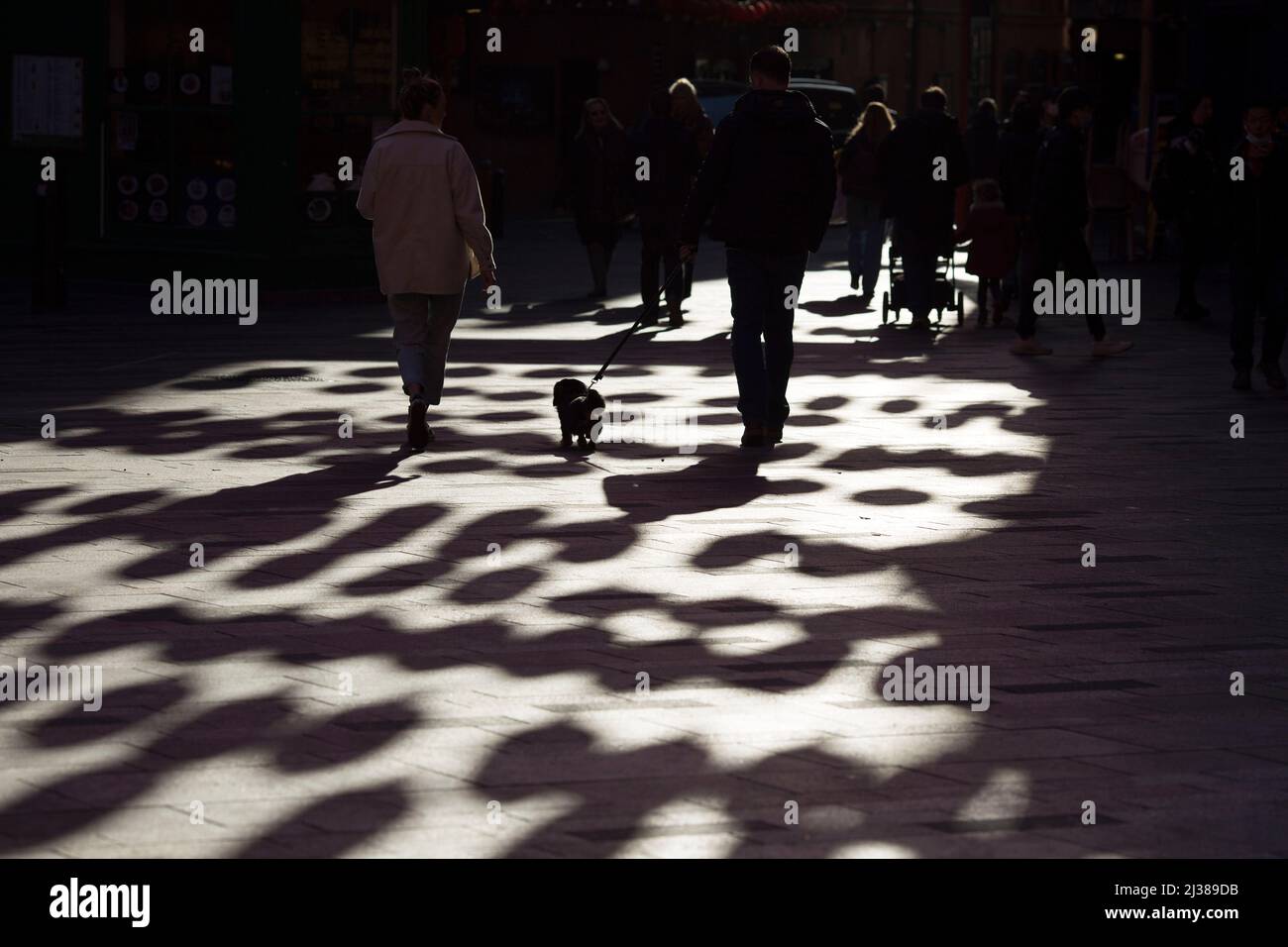 The shadows of red lanterns fall on a road as people and a dog stroll ...