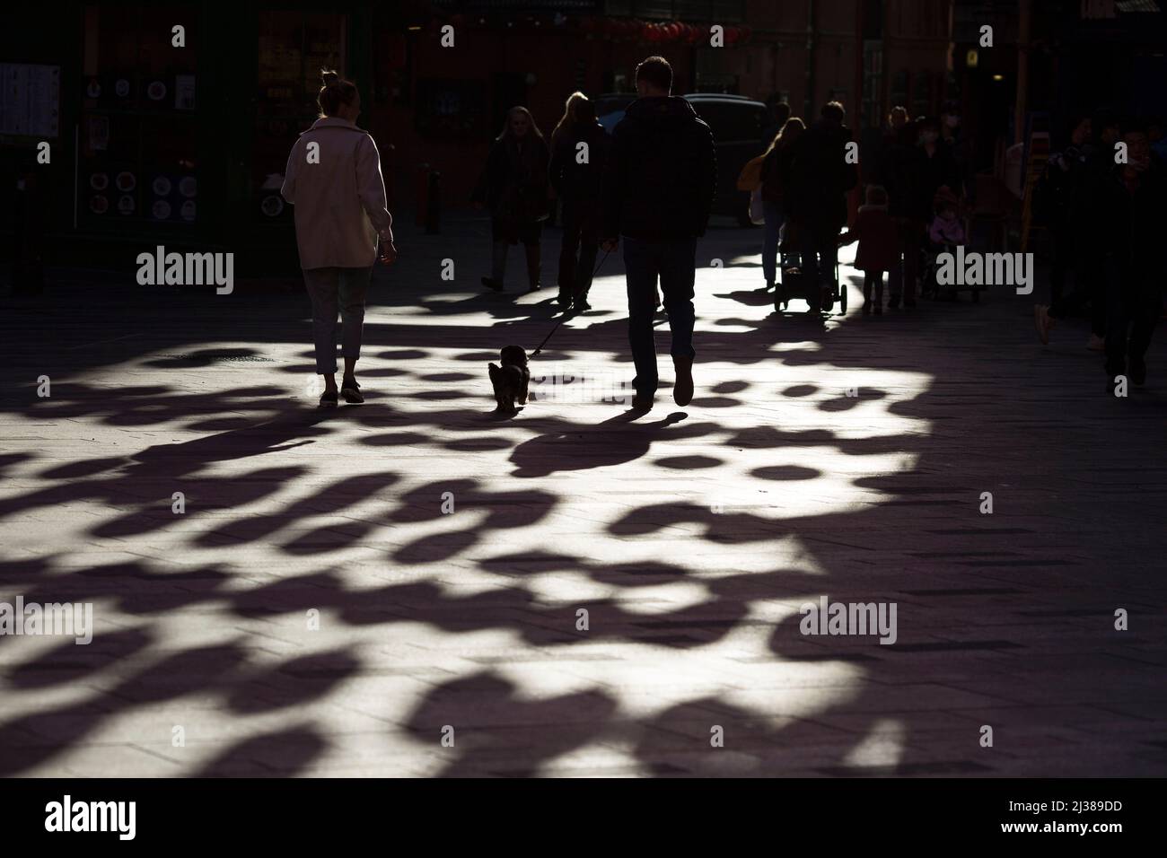 The shadows of red lanterns fall on a road as people and a dog stroll ...
