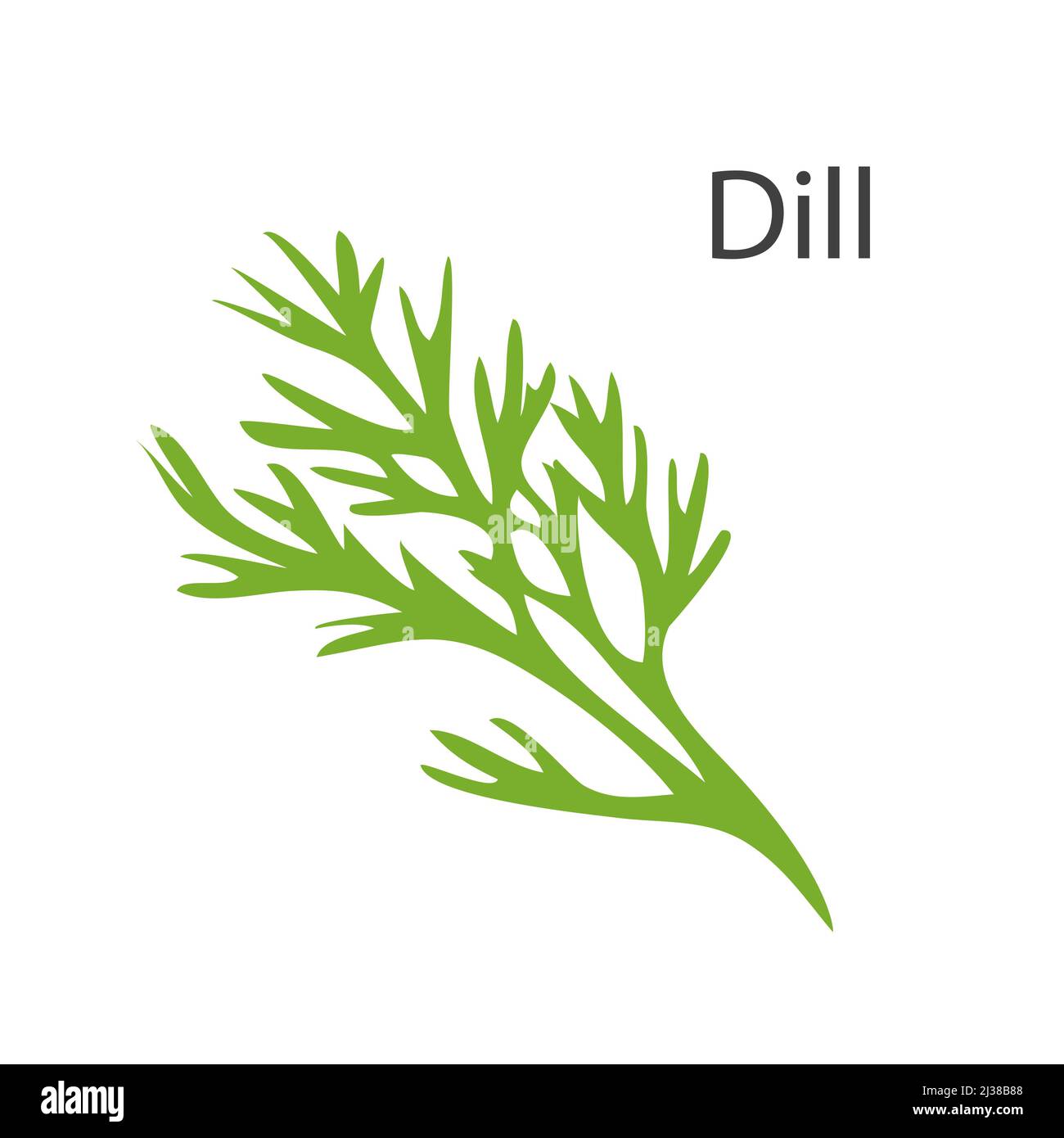 Green bunch of dill. Ingredient and seasoning for the dish. Useful ...
