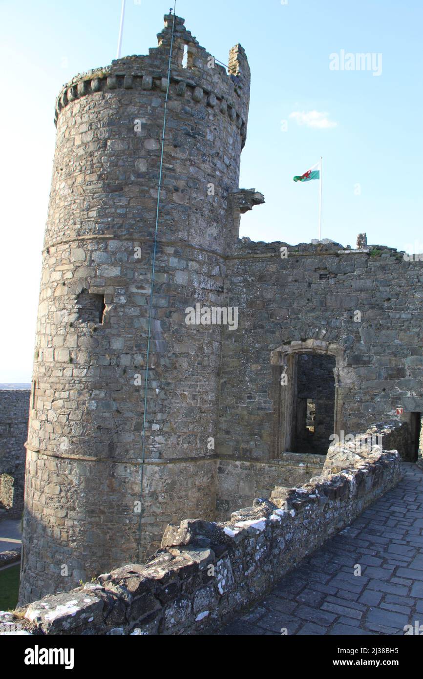 Castle overlooking tremadog bay hi-res stock photography and images - Alamy