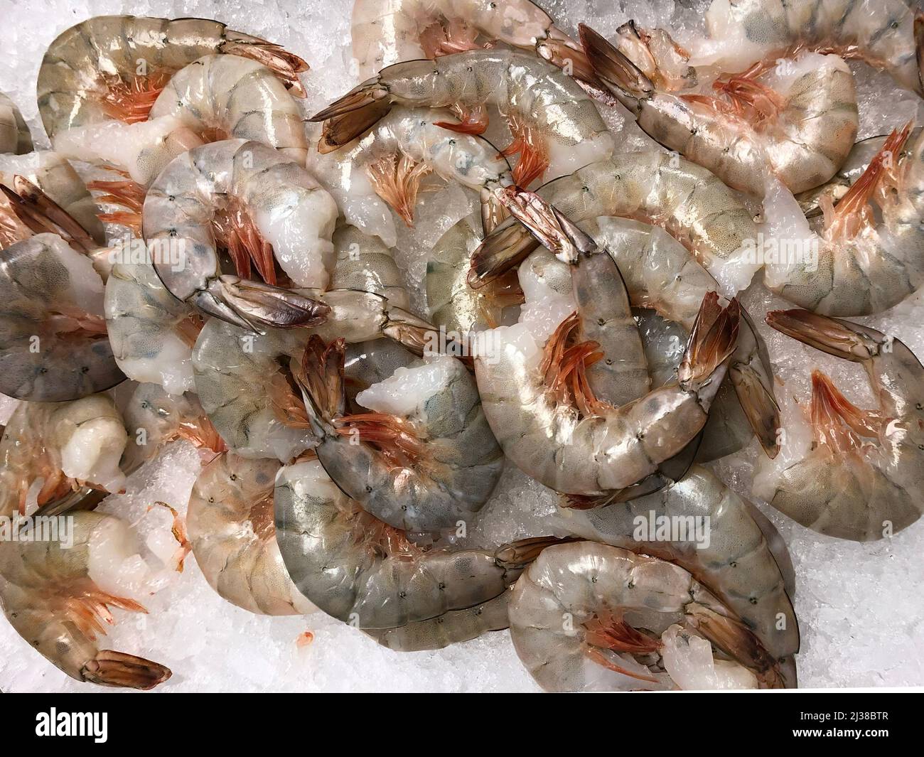 Raw shrimp at the fish market Stock Photo - Alamy