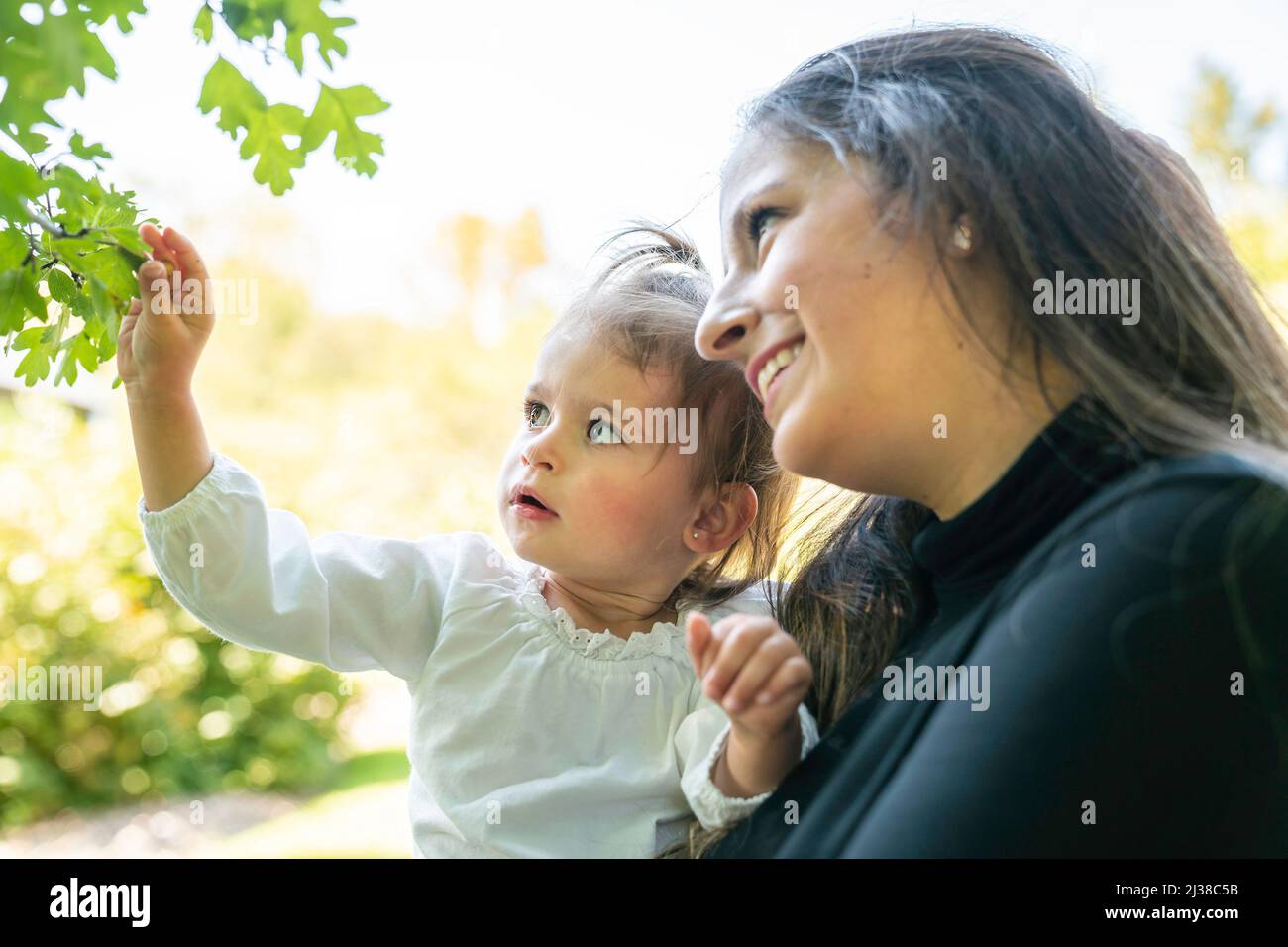 two years child girl in forest look tree Stock Photo - Alamy