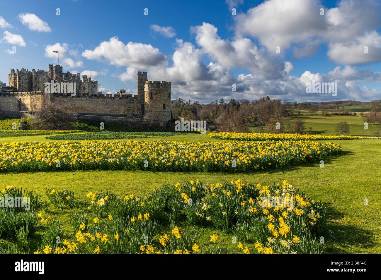 Alnwick Castle and the Lion Bridge over the river Aln with a field of ...