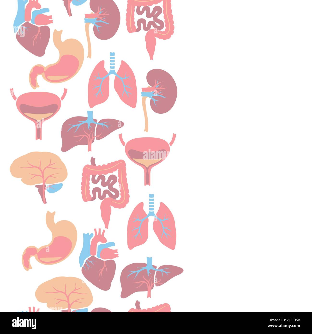 Seamless pattern with internal organs. Human body anatomy. Health care ...