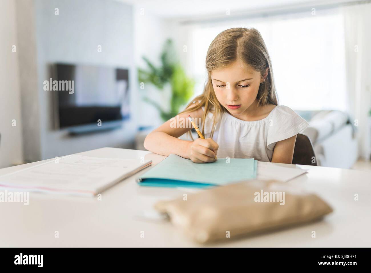 Pretty little girl enjoys learning and doing some homework Stock Photo ...