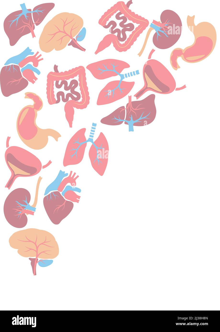 Background with internal organs. Human body anatomy. Health care and ...