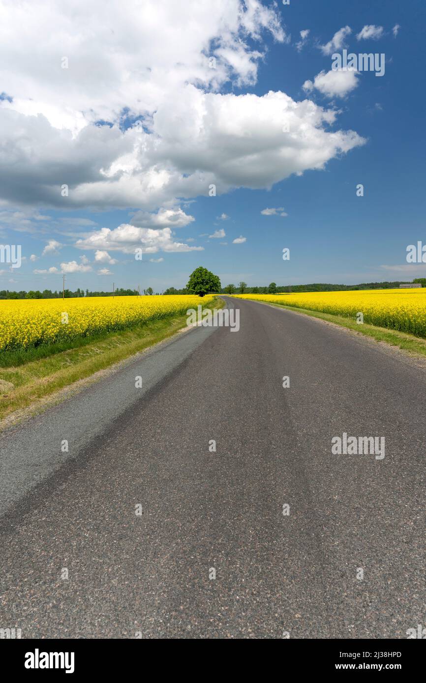 Rural road between agricultural hi-res stock photography and images - Alamy